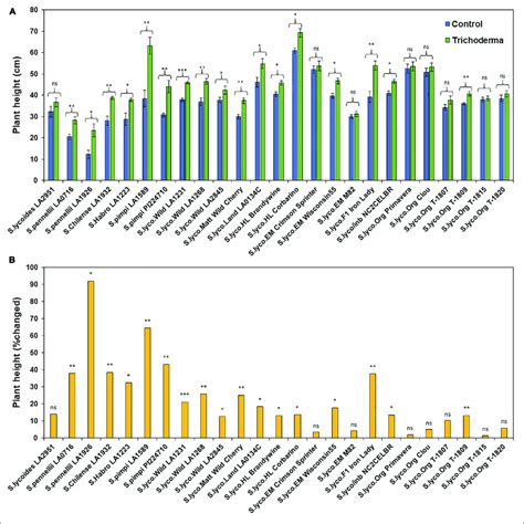 Effects Of Trichoderma Treatment On A Plant Height Cm In A Set Of