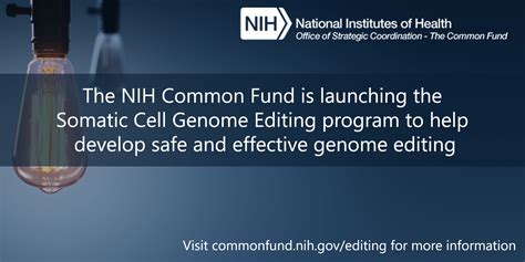 Somatic Cell Genome Editing Nih Common Fund