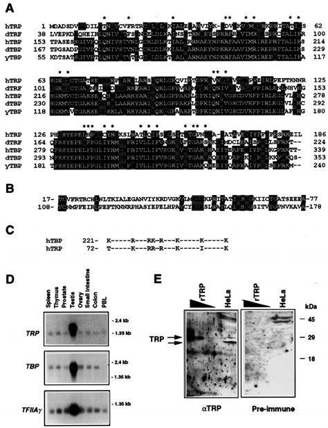 TRP Sequence Analysis And Tissue Distribution A Alignment Of The Download Scientific Diagram