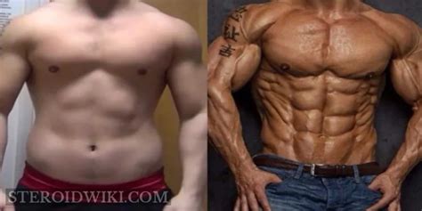 Steroid Profiles Steroidwiki Steroid Profiles Steroidwiki
