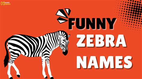 Funny Zebra Names 450 Cool Ideas Names Crunch