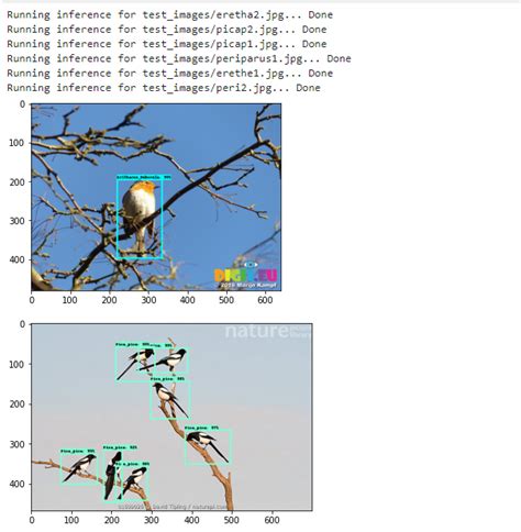 github bikashgrg bird species detection using deep learning this is