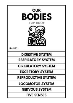 Flipbook science by Sonia Martínez Ruíz TPT