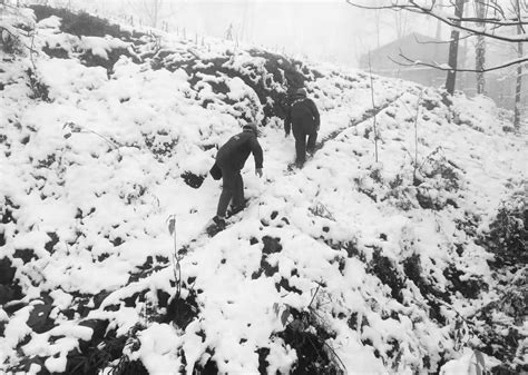 万源供电公司：启动输电线路雪后特巡活动 四川经济日报