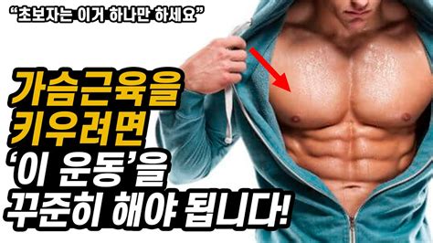 가슴근육을 키우려면 당신은 이 운동을 해야합니다 Youtube