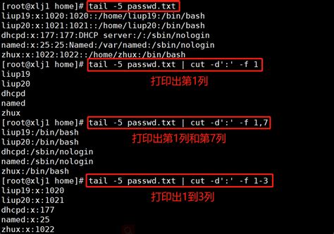 Shell编程之正则表达式shell 使用正则表达式 赋给变量 Csdn博客