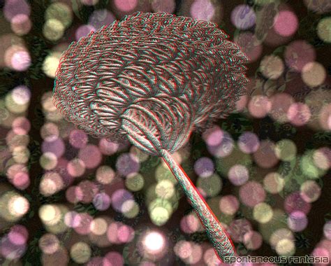 Branching Fractal Sketches Spontaneous Fantasia