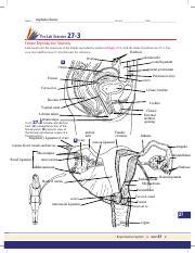 Unit 27 Pre Lab Exercise 27 3 Pdf Stephanie Llamas Name Section Date Pre Lab Exercise 27 3