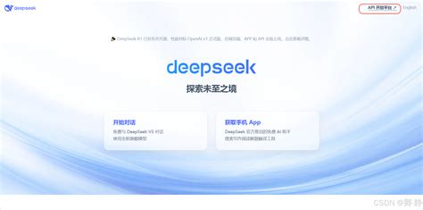 Node对接deepseek服务（含源码演示）nodejs Deepseek Csdn博客