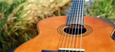 Кузнечик на гитаре для начинающих Аккорды в траве сидел кузнечик