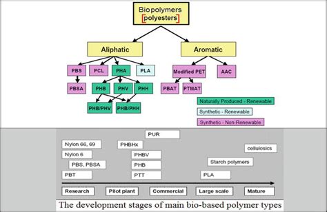 Characterization Modeling And The Production Processes Of Biopolymers