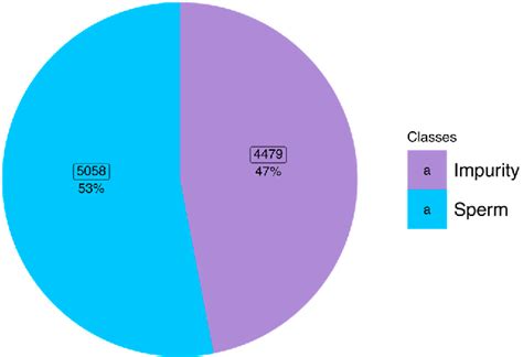 figure 1 from a dual architecture fusion and autoencoder for automatic morphological
