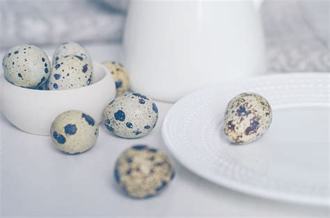 빈 흰색 접시 및 주전자 녹색 나뭇가지 리넨 냅킨과 메 추 라 기 계란 테이블 설정입니다 부활절을 준비 합니다 차가운 규모에서 조율 0명에 대한 스톡 사진 및 기타 이미지