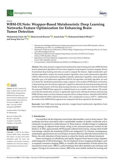 pdf wbm dlnets wrapper based metaheuristic deep learning networks