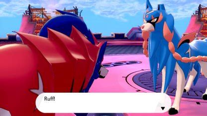 Zamazenta How To Get And Best Moveset Pokemon Sword Shield Gamewith
