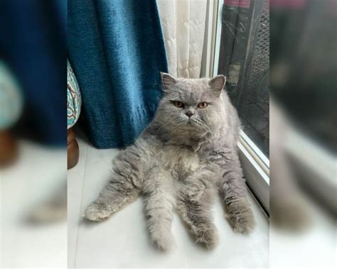 Visual Deceptions Surprising Photos That Defy Reality Page 12 Of 30