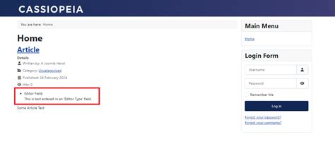 J4xadding Custom Fieldseditor Field Joomla Documentation