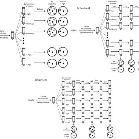 The Results Of Population Analysis Profiling Pap Of Type I Download Scientific Diagram