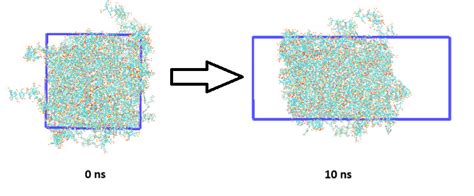 do we need position restraints for deformation simulations user
