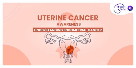 Uterine Cancer Awareness Understanding Endometrial Cancer