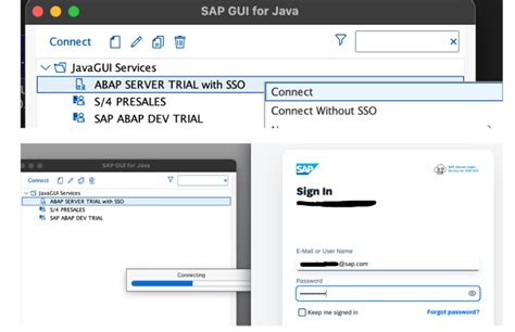 Sap Secure Login Service For Sapgui Uma Visão Pr Sap Community