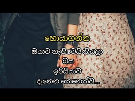 Adara Quotes මේ V I B E එකේ Songs අහන්න Youtube