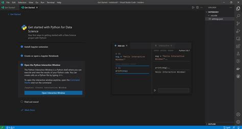 Opening Interactive Window Looks Strange Issue Microsoft Vscode Python Github