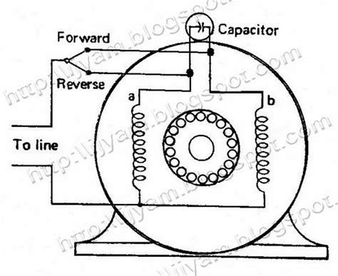 Split Capacitor Motor Wiring Diagram