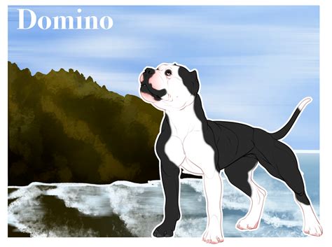 Tbd By Coastalpointkennels On Deviantart
