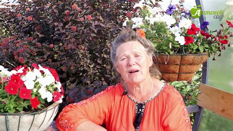 Сорта земляники садовой для Сибири