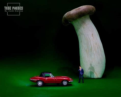 Jacki Gordon How Lockdown Inspired My Miniature Photography