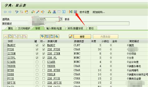 Abap Se16nse11 Modify Standard Tables And Self Built Tables