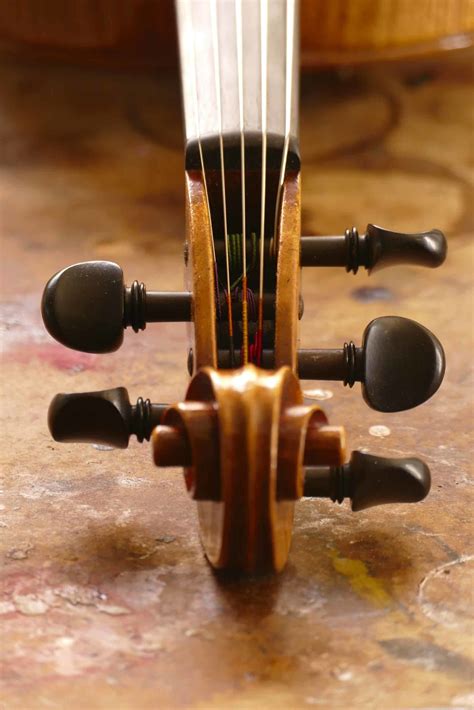 Five String Fiddle Carruthers Violins