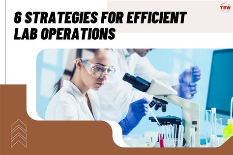 6 strategies for efficient lab operations the enterprise world