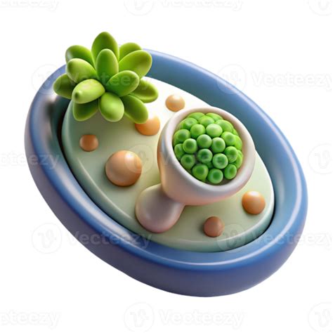 Serene Classic Microscope Slide With Plant Cells Isolated Genuine