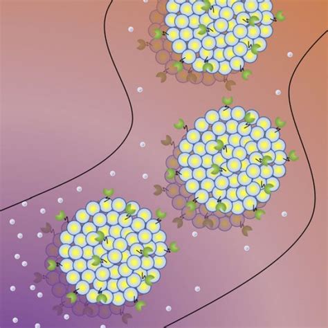 News The Huck Institutes En Us