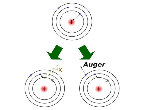 Electron Capture Definition