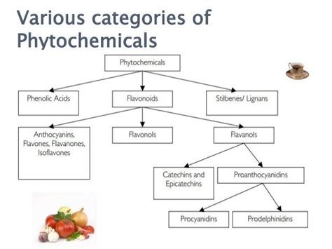 Phytochemicals