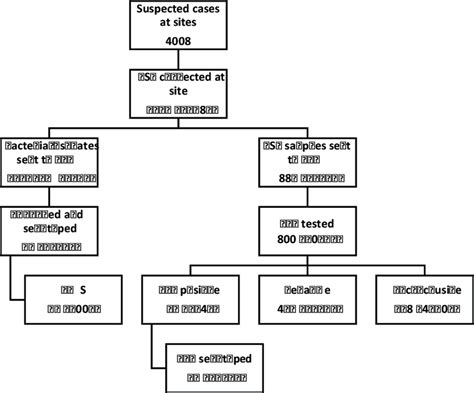 Flow Chart Of Csf Sample Processing One Isolate Streptococcus Download Scientific Diagram