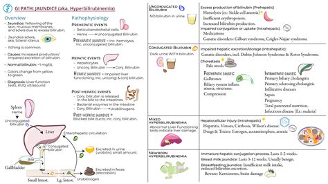 Clinical Pathology Gi Pathology Jaundice Ditki Medical And Biological Sciences