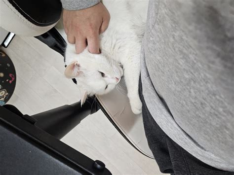 의자 한개를 둘이서 쓰는거 킹받는다 국내축구 에펨코리아