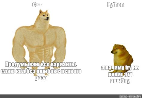 Сomics Meme Python C Продумываю все варианты сдаю код без ошибок с