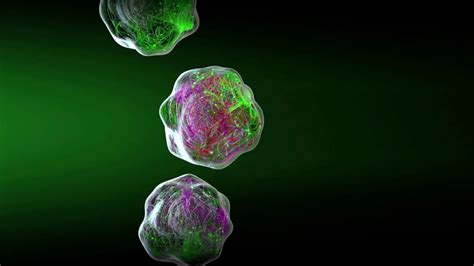 37 Facts About Signaling