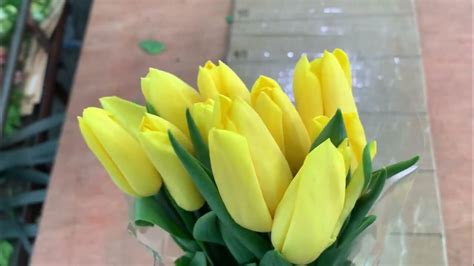 스트롱골드 튤립 생화 꽃집 꽃집창업 꽃값 온라인꽃시장 온라인꽃도매 인터넷꽃시장 인터넷꽃도매 서울꽃시장 꽃농장 꽃배송 생화배송 생화도매 생화택배 꽃배달 생화배달 생화주문 생화