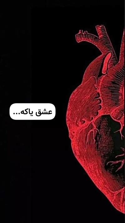 ام بی تی ای رندوم P2 تستچی