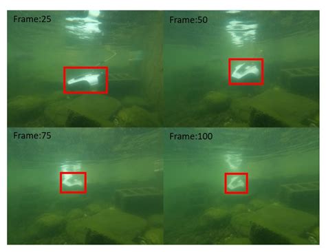 artificial intelligence based object detection and tracking for a small underwater robot