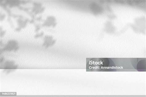 벚꽃 그림자가 있는 콘크리트 벽 질감 바닥에 그림자 오버레이가 있는 흰색 시멘트 배경 테이블 탑이 있는 빈 회색 스튜디오 룸 화장품 전시를 위한 배경 벤치에 대한 스톡 사진