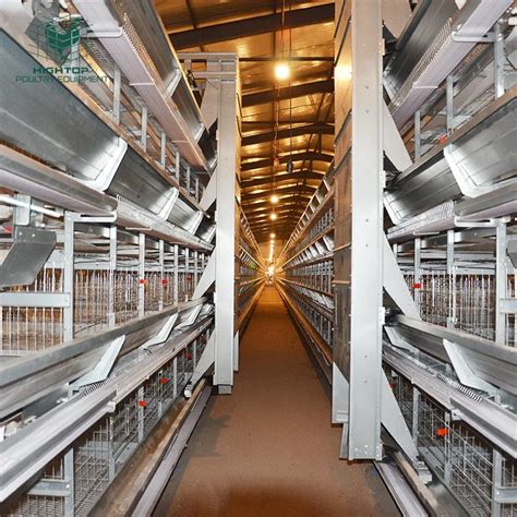 Modern Design H Type Poultry Farms Automatic Egg Battery Layer Chicken
