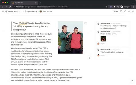Notion VIP Notion Comments Reimagined