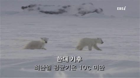 툰드라 기후와 빙설기후 네이버 Tv